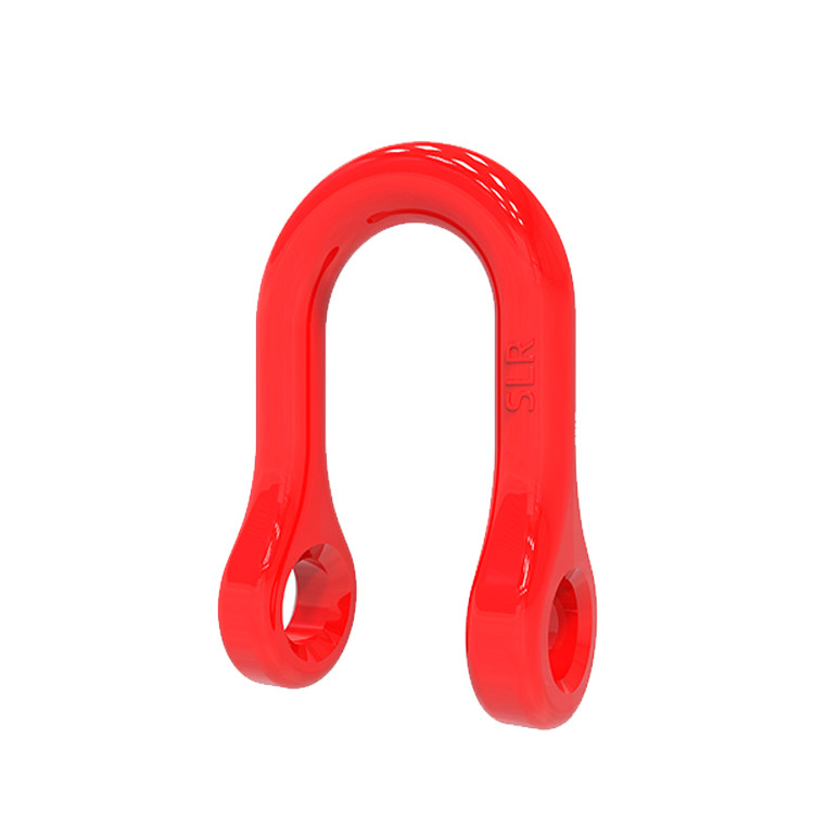SLR889-SPECIAL TYPE SHACKLE
